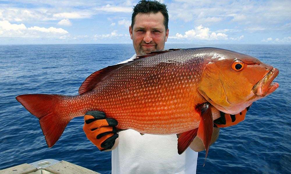 Snapper Fishing Lodges & Guided Trips | FishingExplora