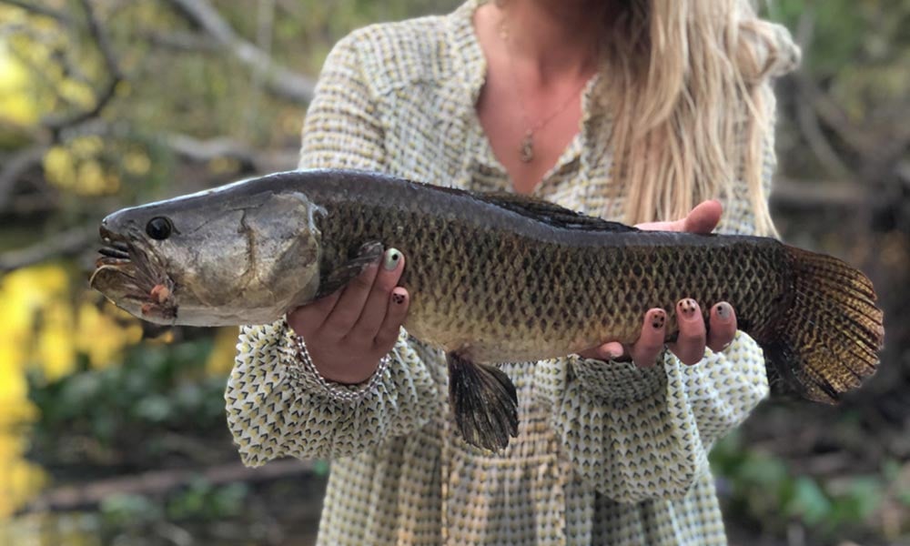 Tararira Fishing Lodges & Guided Trips | FishingExplora