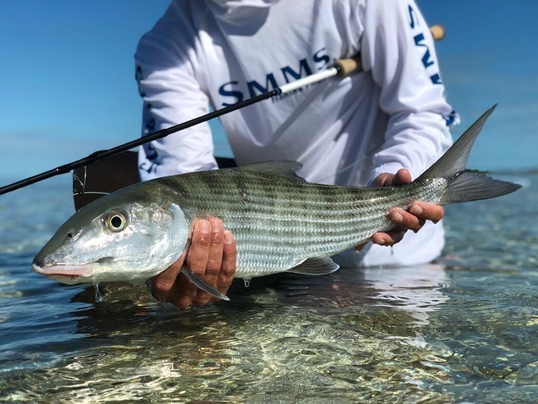 Bahamas Bonefishing Season: Month-by-Month Planning Guide