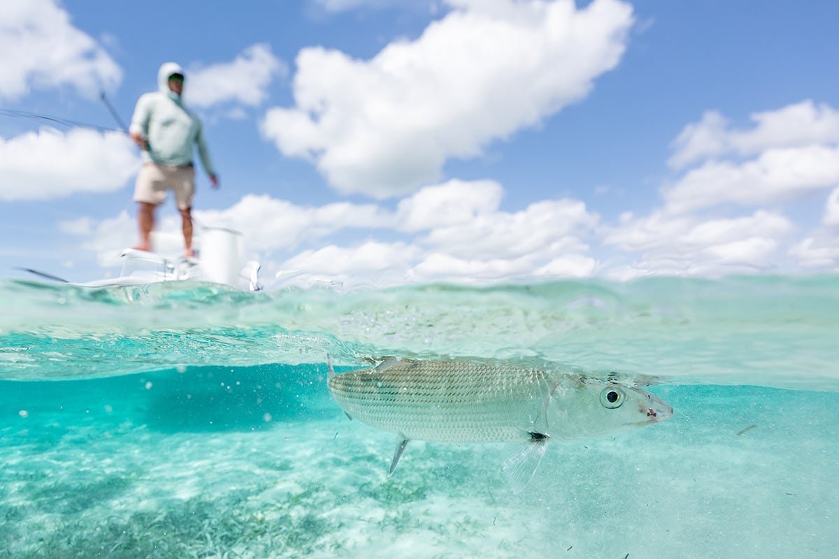 Guided Fly Fishing Adventures in the Bahamas