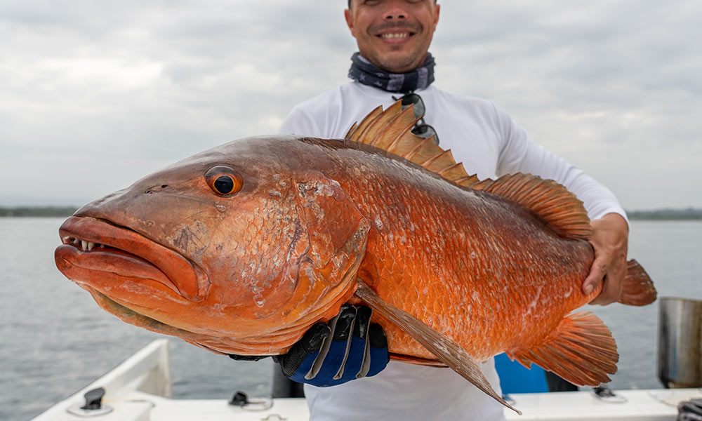 Cubera Snapper Fishing Lodges & Trips | FishingExplora
