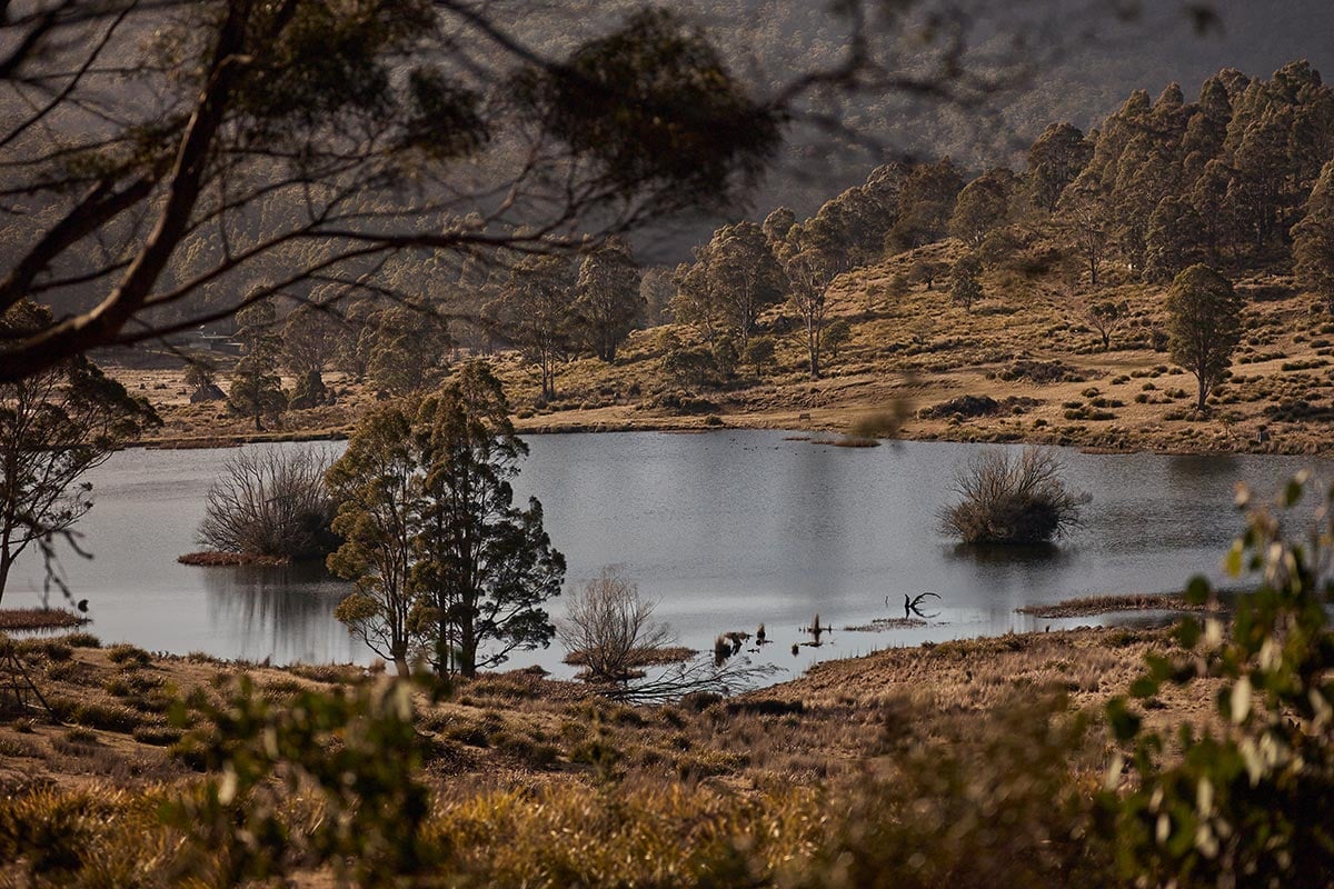Tasmania Retreat - Currawong Lakes | FishingExplora