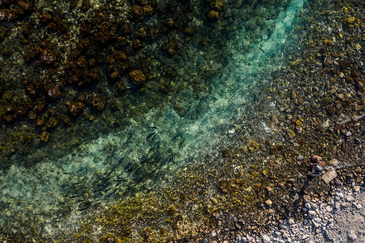 Lago Strobel Lodge | Jurassic Lake Fly Fishing